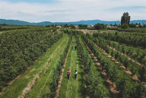 Spirit Of Prespa E Society Advisor