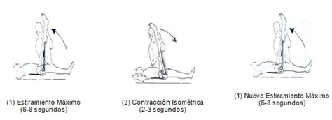 Fortalece Tus Piernas Con El Músculo Poplíteo Guía Completa