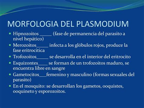 Malaria O Paludismo Ppt Descargar