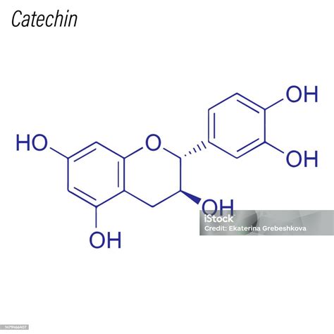 Skeletal Formula Of Catechin Drug Chemical Molecule Stock Illustration
