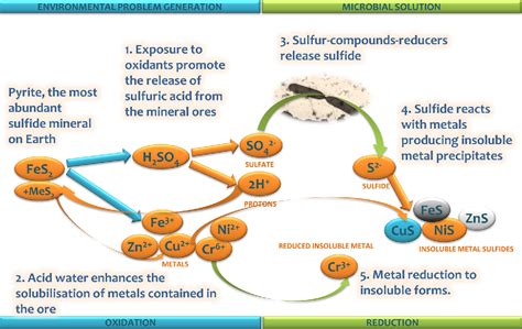 Mining Industry Semantic Scholar