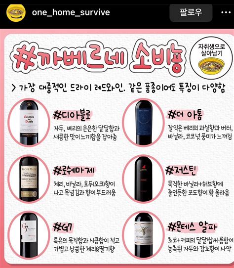 술부심 품종별로 맛과 풍미 구분한 와인리스트 Daum 카페