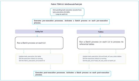 Task Execution Processes K2View Support