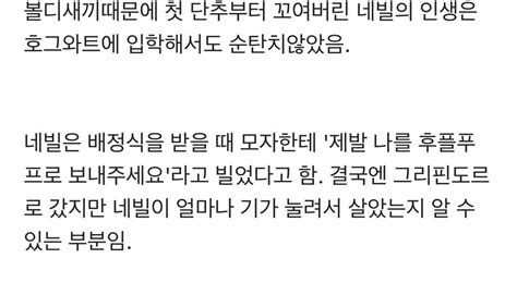 [해리포터] 진정한 그리핀도르 네빌 롱바텀 이야기 인스티즈 Instiz 이슈 카테고리