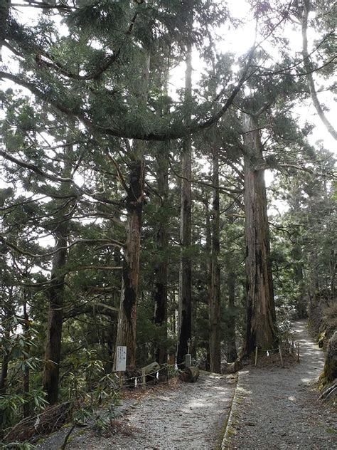 Filetamaki Jinja Totsukawa010 Wikimedia Commons
