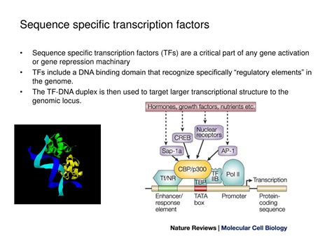 Ppt Genome Evolution A Sequence Centric Approach Powerpoint Presentation Id4176242