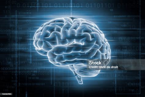 파란색 배경에 글리치 효과가 있는 인간의 두뇌와 그것 또는 이진 코드 3d 렌더링 그림 Ai 또는 인공 지능 기술 또는 기술 컴퓨터 과학 개념 3차원 형태에 대한 스톡 사진