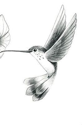 Pin De Alysson Jose Costa Ribeiro En Tattoo Silueta De Aves Arte Siluetas