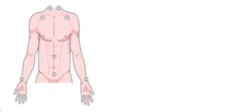 Acupuncture Points Flashcards Quizlet