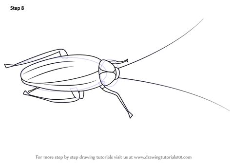 How To Draw A Cockroach Insects Step By Step