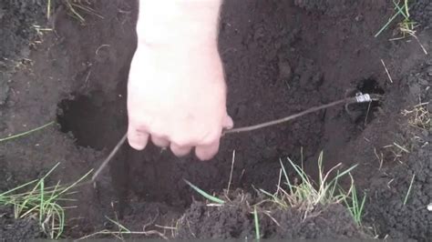 Ловушка на крота. Как поймать крота. Ловушка своими руками. Часть1 ...
