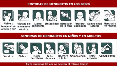 Dr Danilo Antonio Castillo G Meningitis