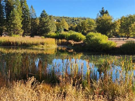 Firefall Ranch Yosemite Updated July 2026 152 Photos And 74 Reviews