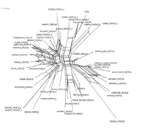 Neighbor Net Splitgraph Without Some Mythemes Download Scientific