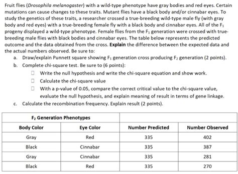 Solved Fruit Flies Drosophila Melanogaster With A