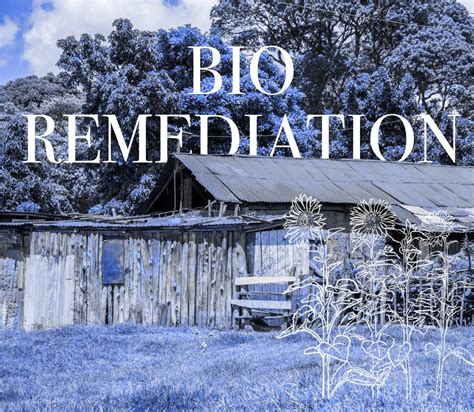 Underhyped Tech Bioremediation — Frontier Tech Hub
