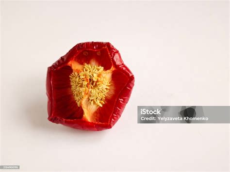 반으로 자른 마른 빨간 피망 씨앗이 있는 후추 부분 복사 공간이 있는 밝은 배경입니다 쓰레기 음식 생분해성 유기 퇴비 거절에