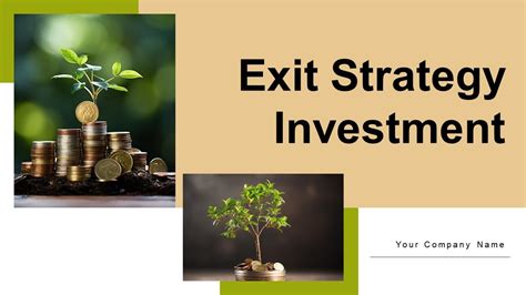 Exit Strategy Investment Powerpoint Presentation And Google Slides ICP PPT Sample