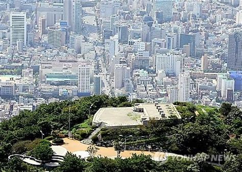 부산 황령산유원지에 내년까지 생태숲 조성 연합뉴스