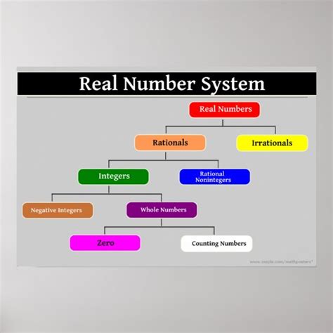 Real Number System Math Poster Zazzle