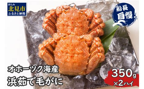 【a7 027】オホーツク海産 浜茹で毛がに 350g×2ハイ 北海道北見市 セゾンのふるさと納税