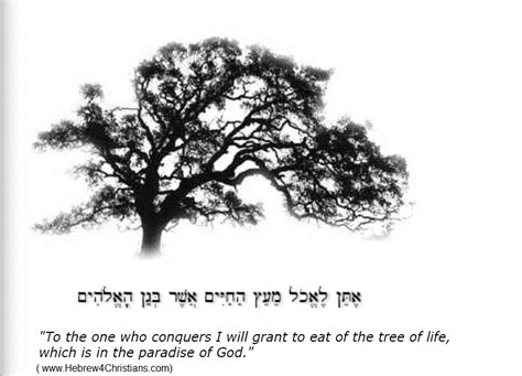 An Image Of A Tree With The Words In Hebrew
