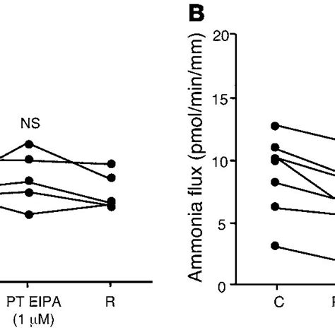 Transepithelial Ammonia Absorption In The Mtalh Harvested From Nhe4