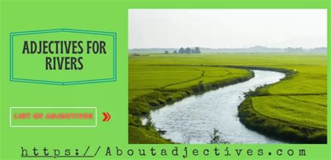 Adjectives For Leaf Words To Describe Leaf