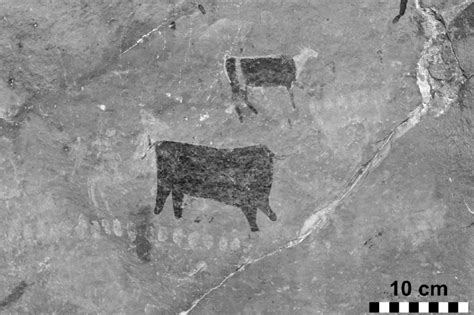 Rare Stormberg Examples Of Blocked Eland With Angular Outlines From A