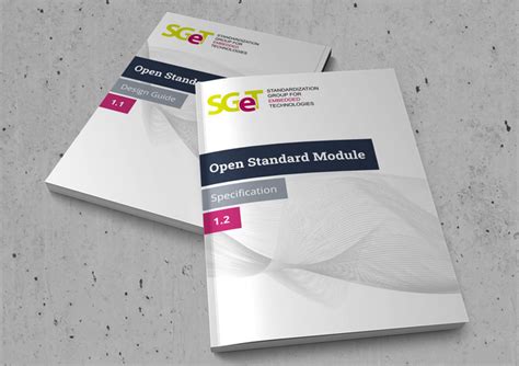 Modules Processeurs Le Sget Affine La Spécification Osm Pour Modèles