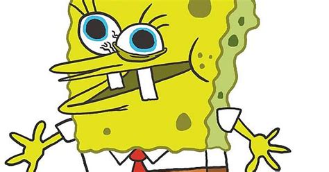 Some Sponges I Drew Last Night Album On Imgur