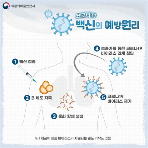 대전광역시청 📌코로나19 백신의 종류와 예방원리 안내📌 코로나19 백신 의 종류와 코로나19