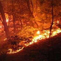 Forest Fire Object Detection Dataset And Pre Trained Model By AUIC