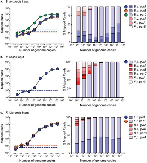 Preliminary Sequencing Results For MIPs On Wild Type DNA Pooled MIPs Download Scientific