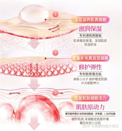 皮肤衰老的原理，正确的看待皮肤衰老！ 知乎