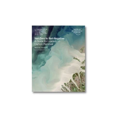 Net Zero To Net Negative World Economic Forum Carbon Gap
