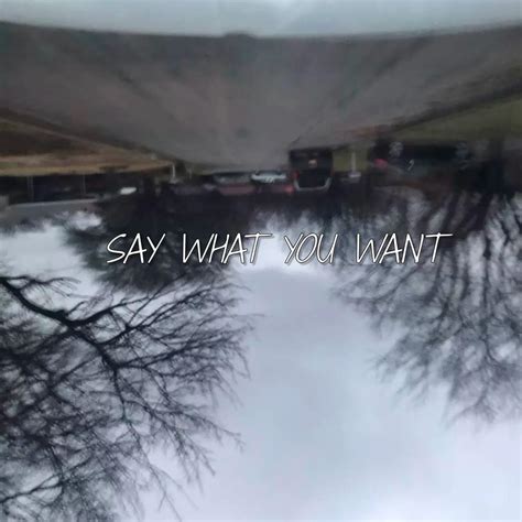Jaxten Say What You Want Lyrics Genius Lyrics