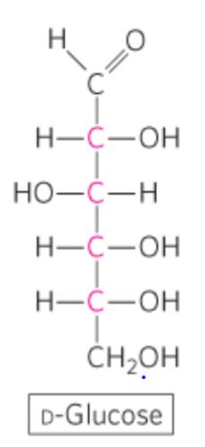 Chem 481 Exam 2 Flashcards Quizlet