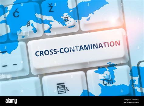 Text Sign Showing Cross Contamination Business Overview Unintentional Transmission Of Bacteria