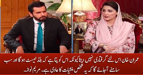Imran Khan Is Avoiding Arrest Because He Is Afraid Of Blood Test Maryam Nawaz