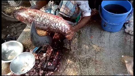 Fastest Fish Cutting Techniques You Wont Believe Youtube