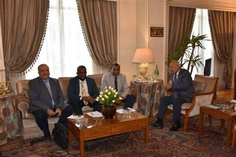 أبو الغيط يحذّر من خطورة النزاع على الأمن الغذائي بالسودان صحيفة الخليج