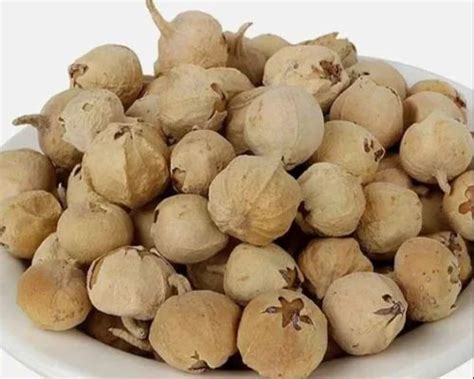 Paneer Dodi Paneer Ke Phool Withania Coagulans Grade Standard