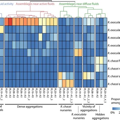 Heat Map Displaying Hierarchical Clustering Of The Different Samples