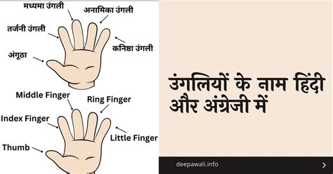 उंगलियों के नाम हिंदी अंग्रेजी में Name Of Fingers In Hindi And English