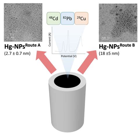 Chemosensors Mdpi On Linkedin Article Recommendation Nanoparticles Electrode Surface
