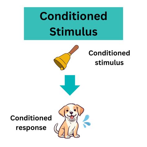 What Is A Conditioned Response Definition And Examples