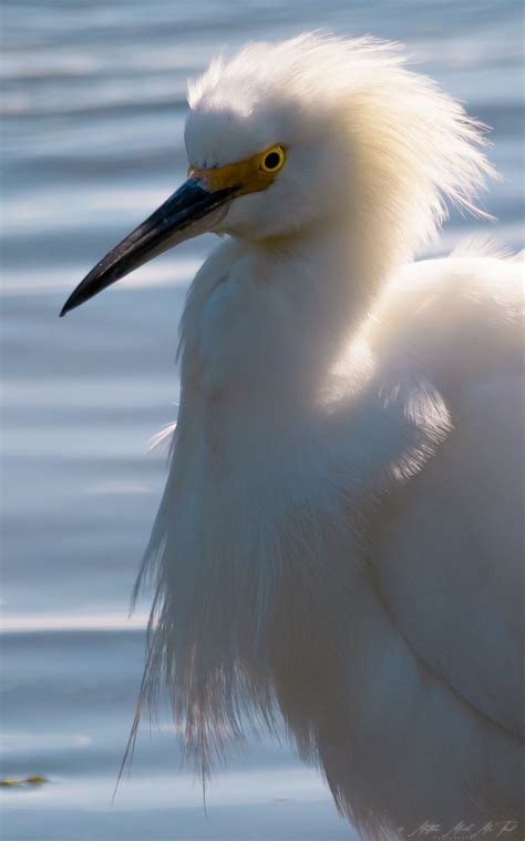 The 8 Dtsc Tests Wrong Placeswrong Results Never Again Moss Landing