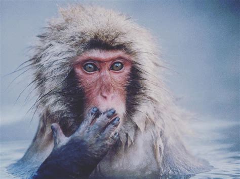 Дитяча Соляна Кімната Вінниця Щось Я не бачу Вашого запису 🤔 Ви що не записалися ще в нашу