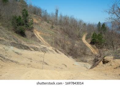 Tree Roots Soil Section Images Stock Photos D Objects Vectors Shutterstock